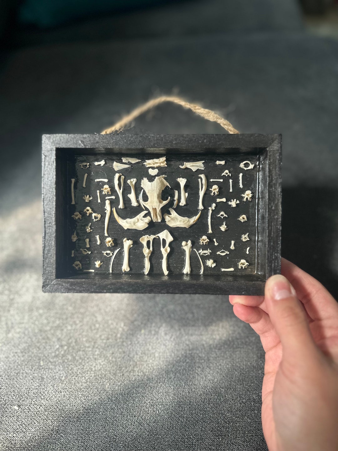 Mouse Skeleton Real Animal Bones Decorative Portrait - Etsy