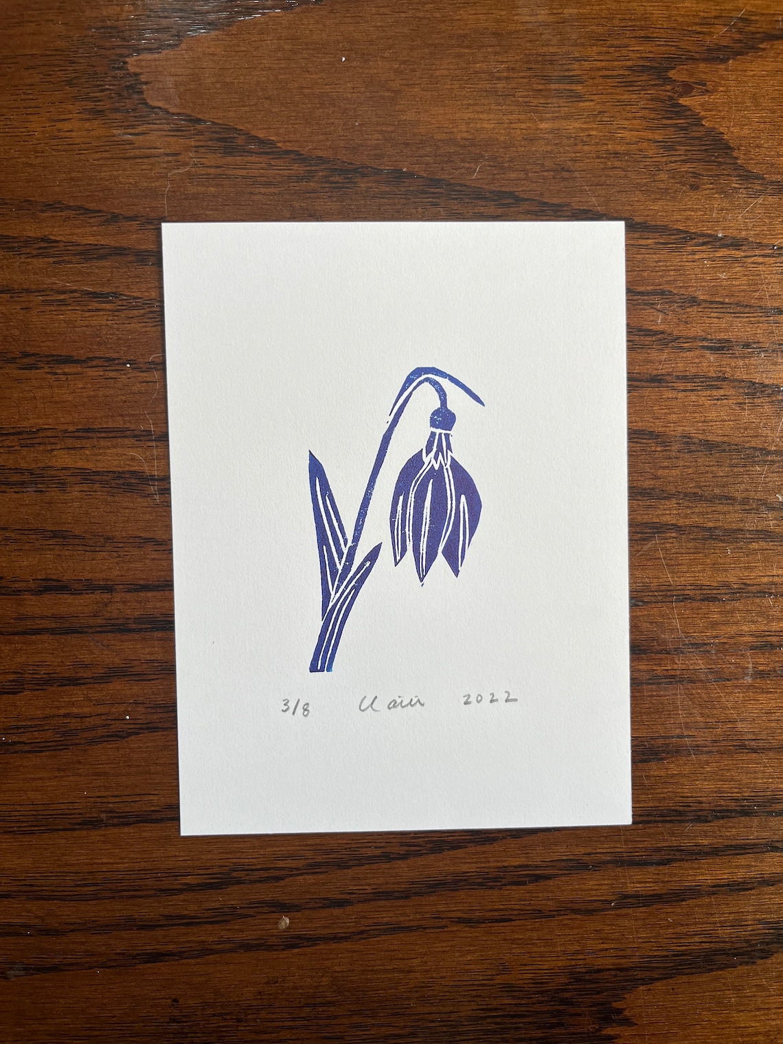 Snowdrop Flower Linocut Print - Etsy