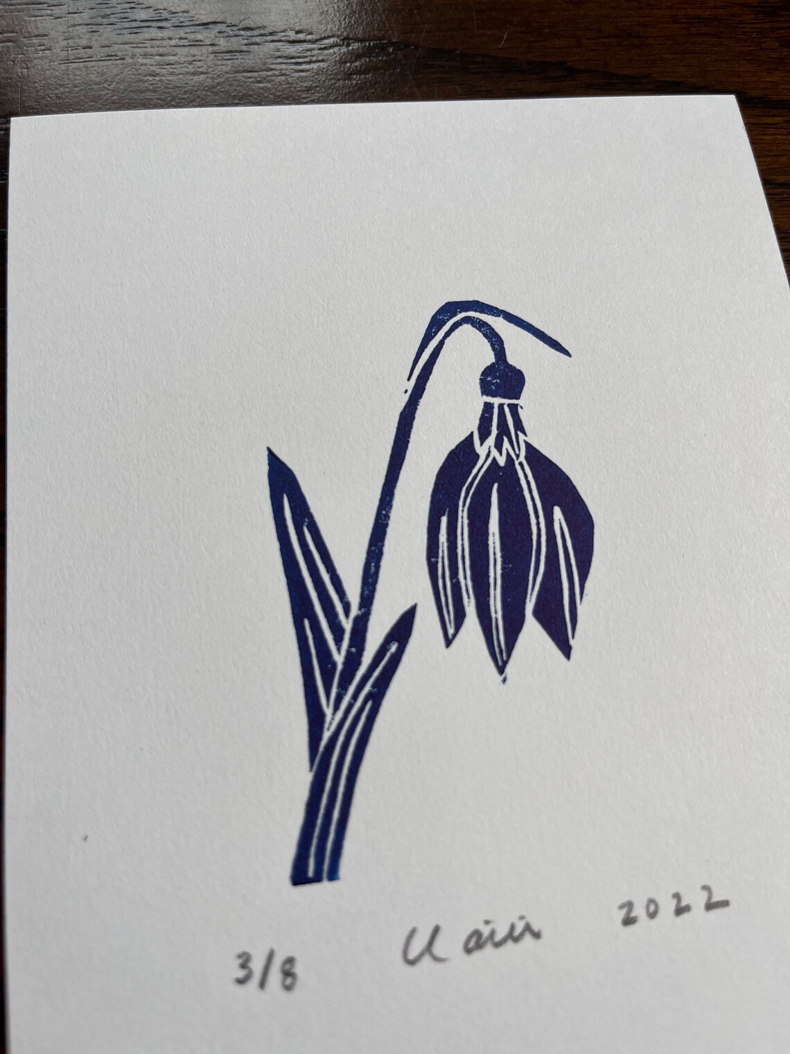 Snowdrop Flower Linocut Print - Etsy