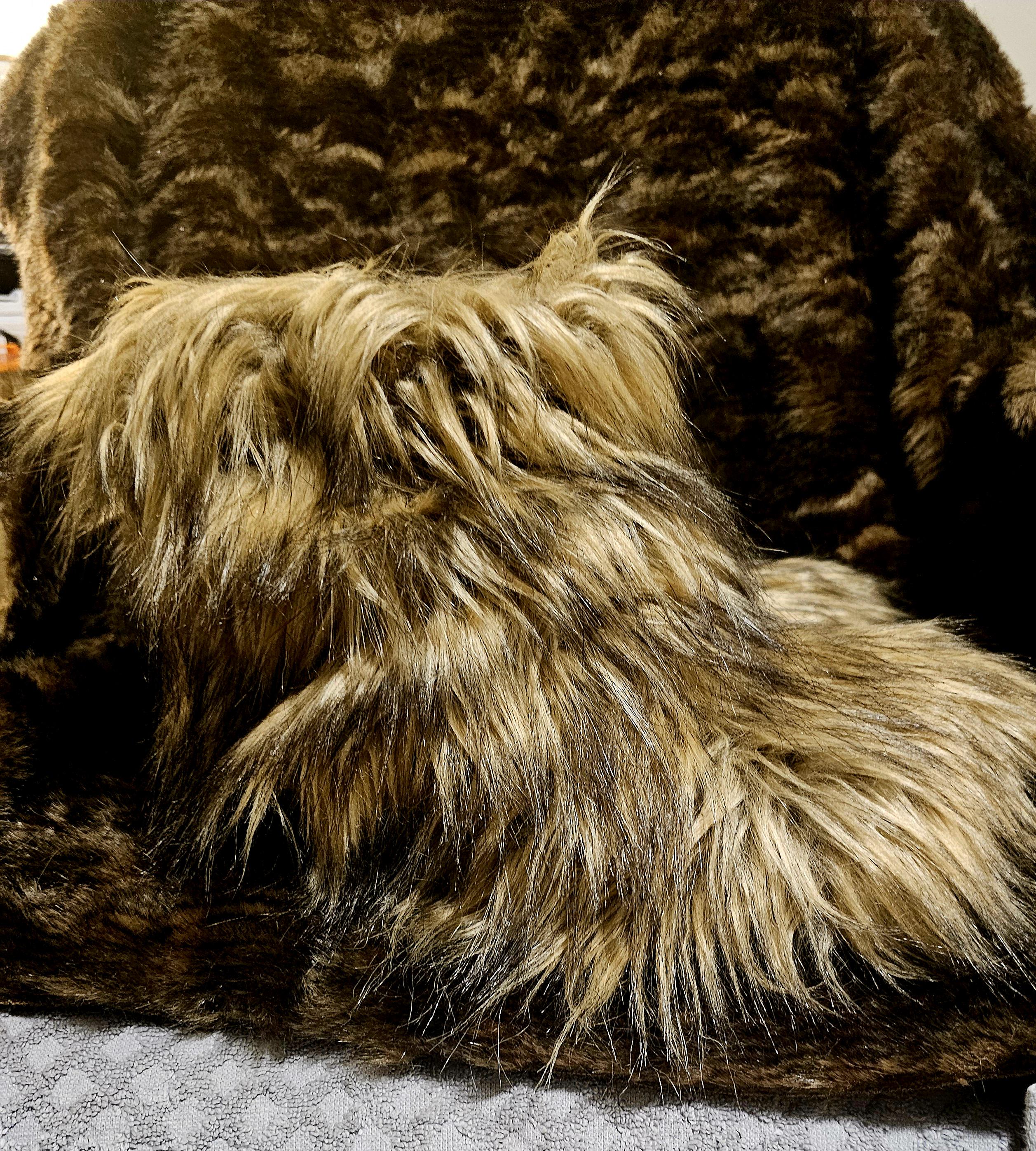 Custom Furry Croc Boots - Etsy