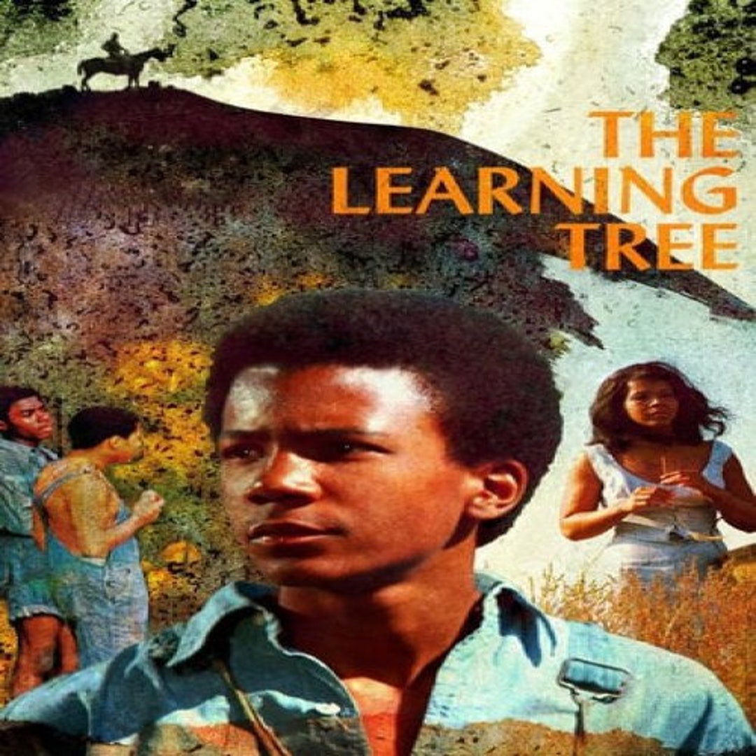 The Learning Tree 1969 DVD - Etsy