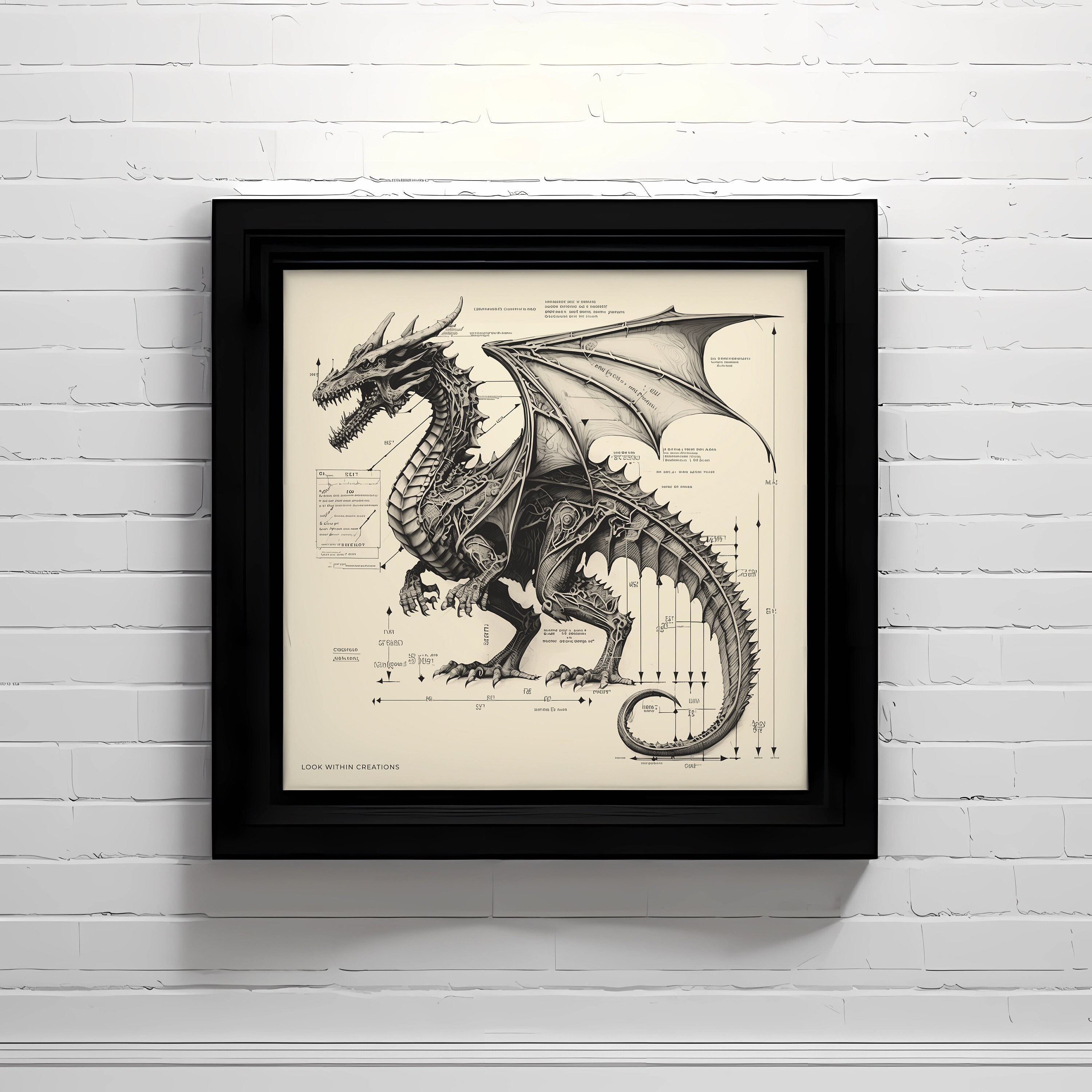 Mythical Dragon Artistic Diagram Fantasy Wall Decor Dragon Enthusiast ...