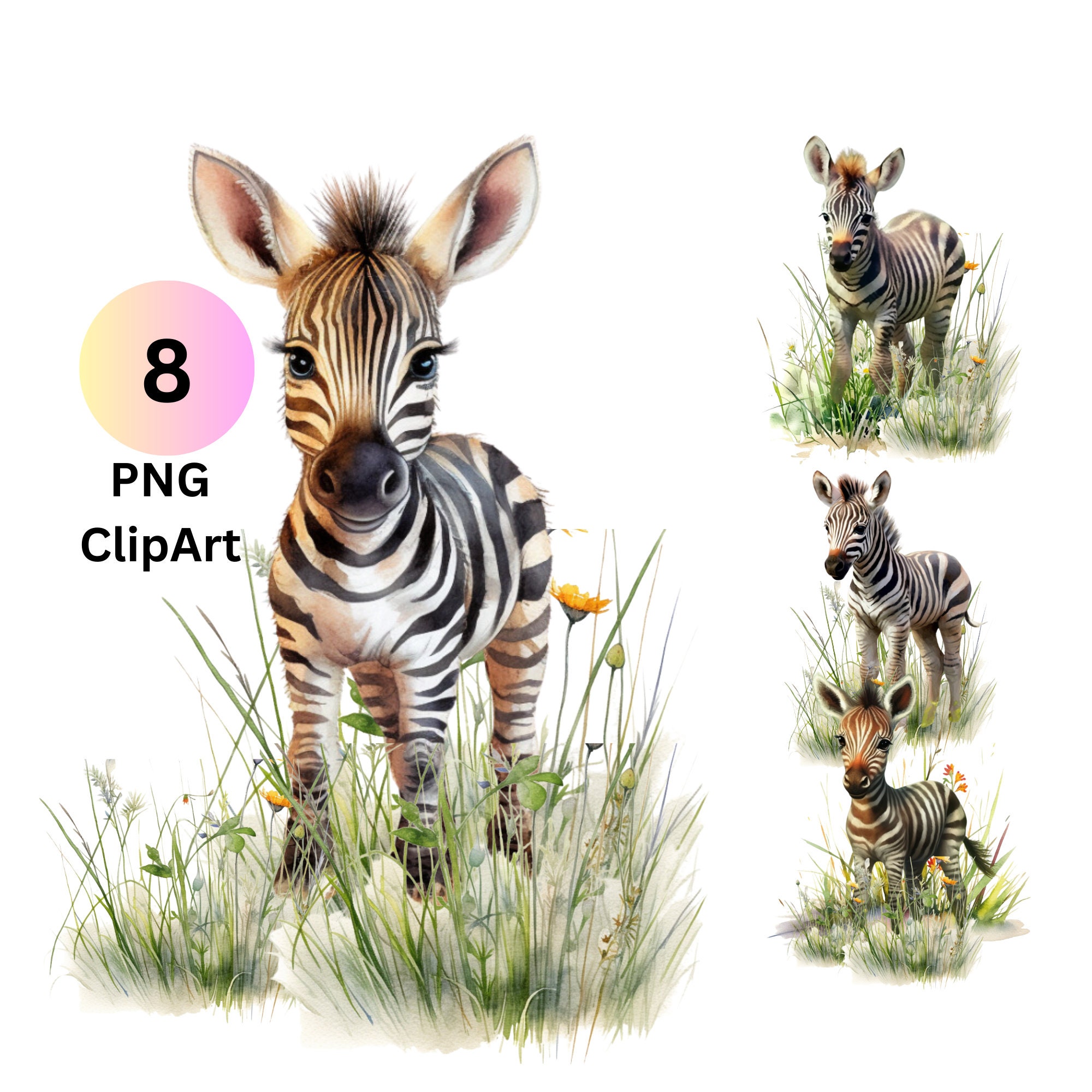 Baby Zebra Clip Art