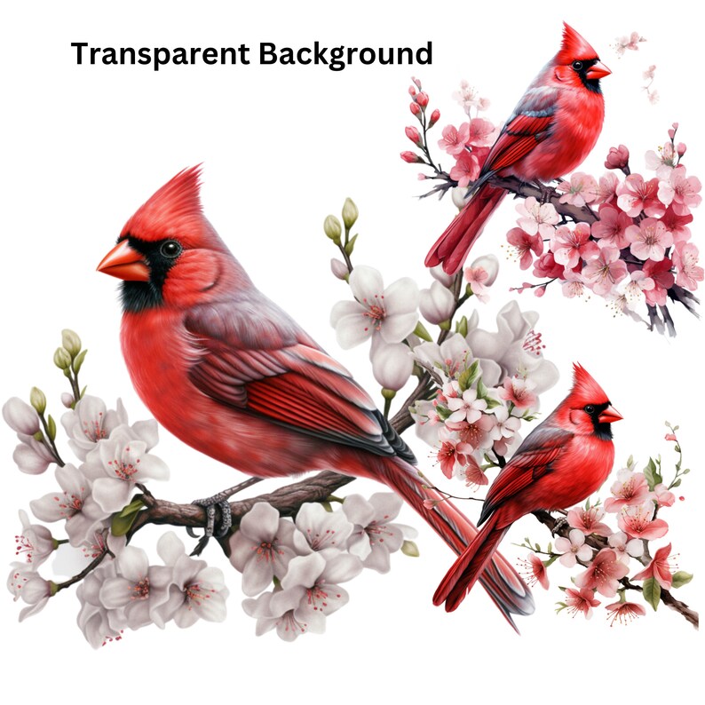 Red Cardinal Clipart Birds Watercolor - Etsy Canada