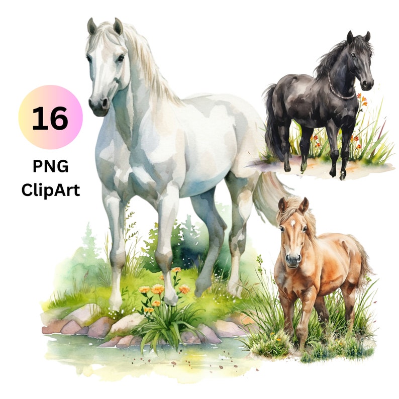 A Horse Clipart ,watercolor - Etsy