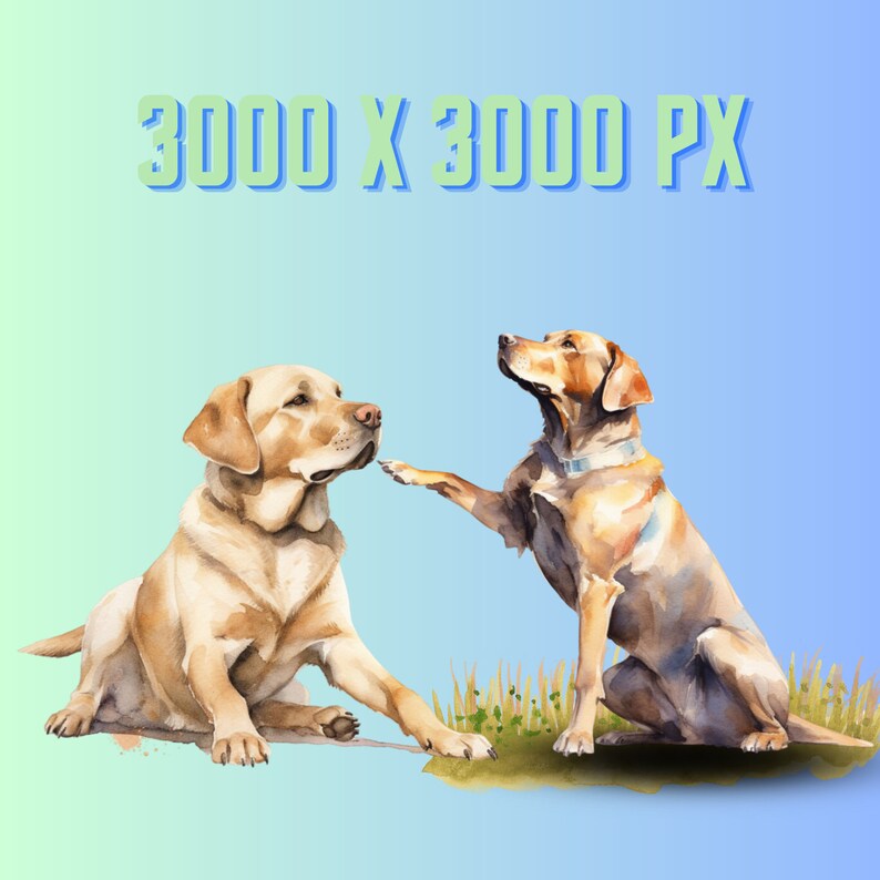 12 Labrador Retriever Clipart Watercolor - Etsy