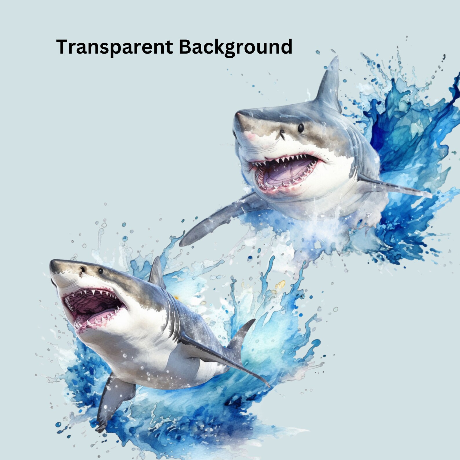 7 Shark Clipart , PNG Files, Transparent Background - Etsy