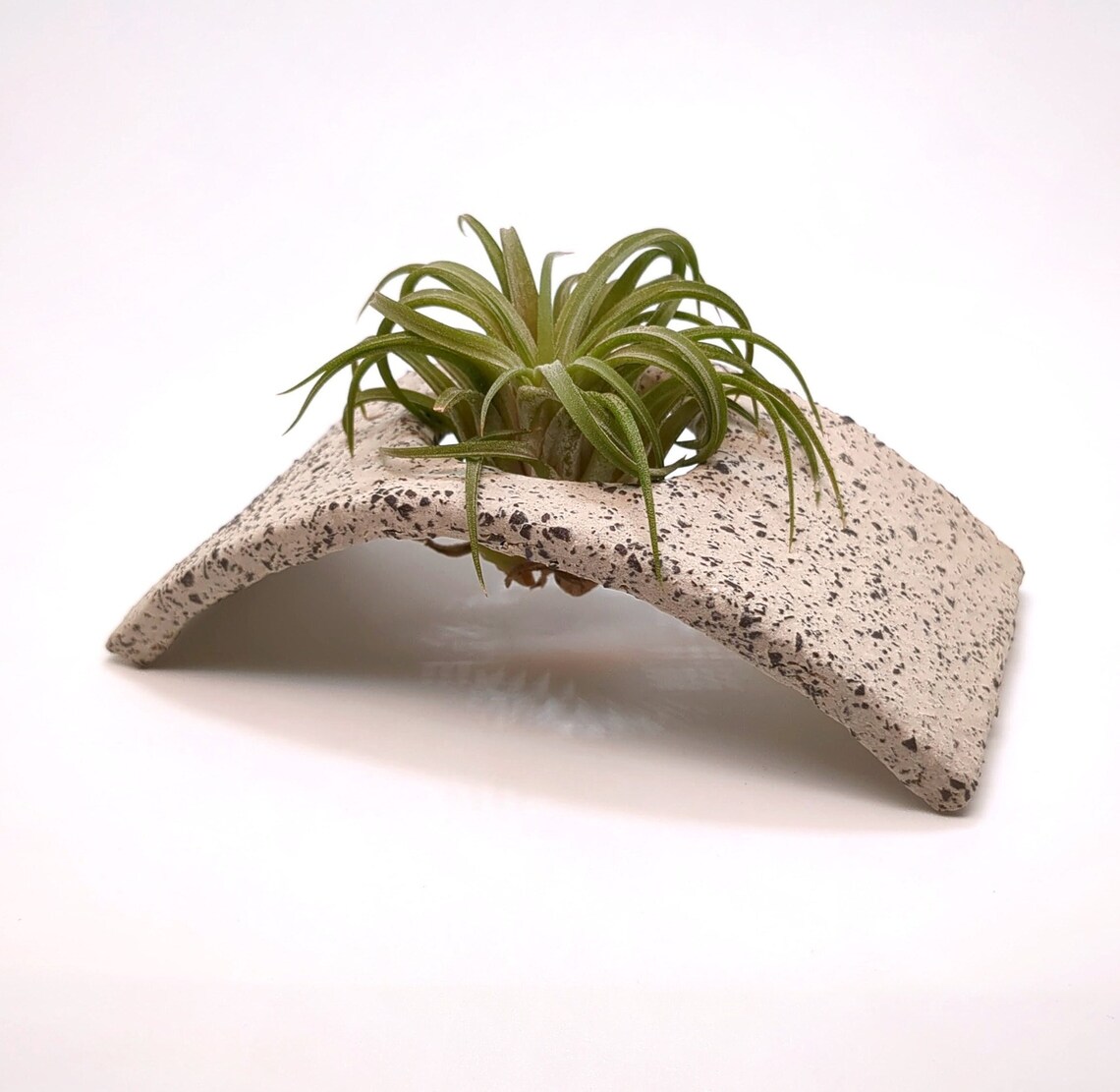 Handmade Ceramic Air Plant Holder: Stoneware Tillandsia Planter - Etsy