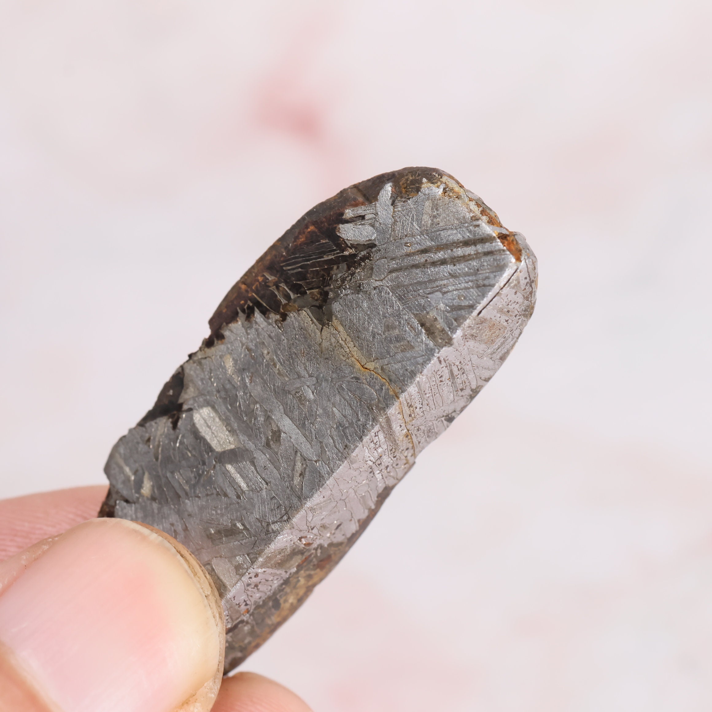 21G Meteorite Iron Meteorite Collection Meteorite Specimen - Etsy