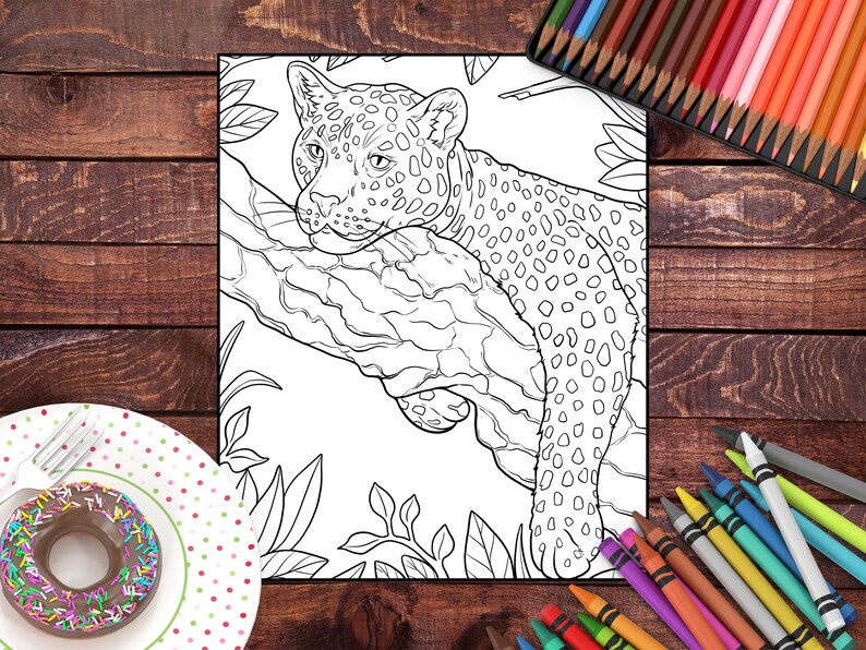 African Safari: Adult Coloring Book Nature Adventure Animals - Etsy