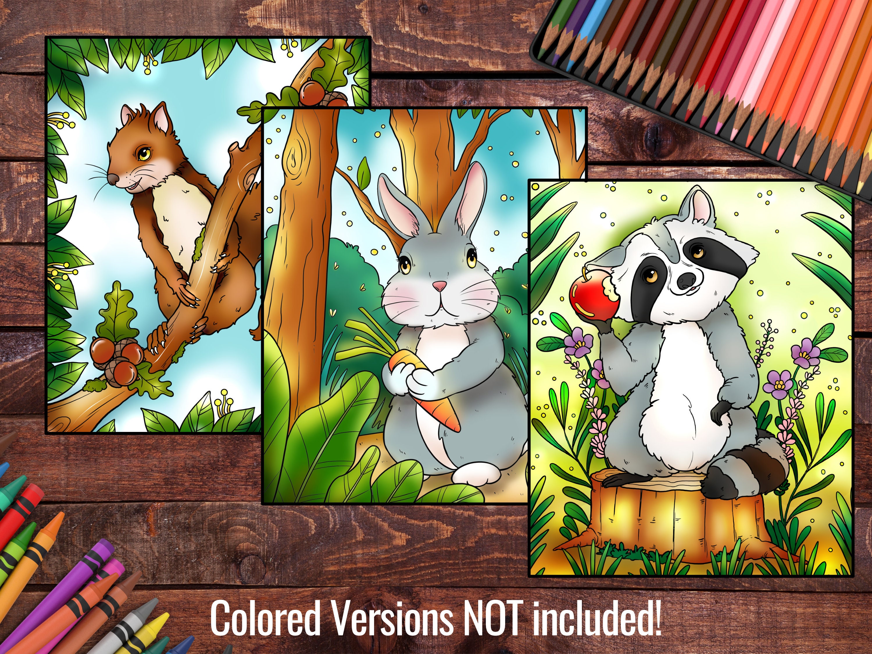 Wild Animals: Adult Coloring Book Nature Animals Coloring - Etsy