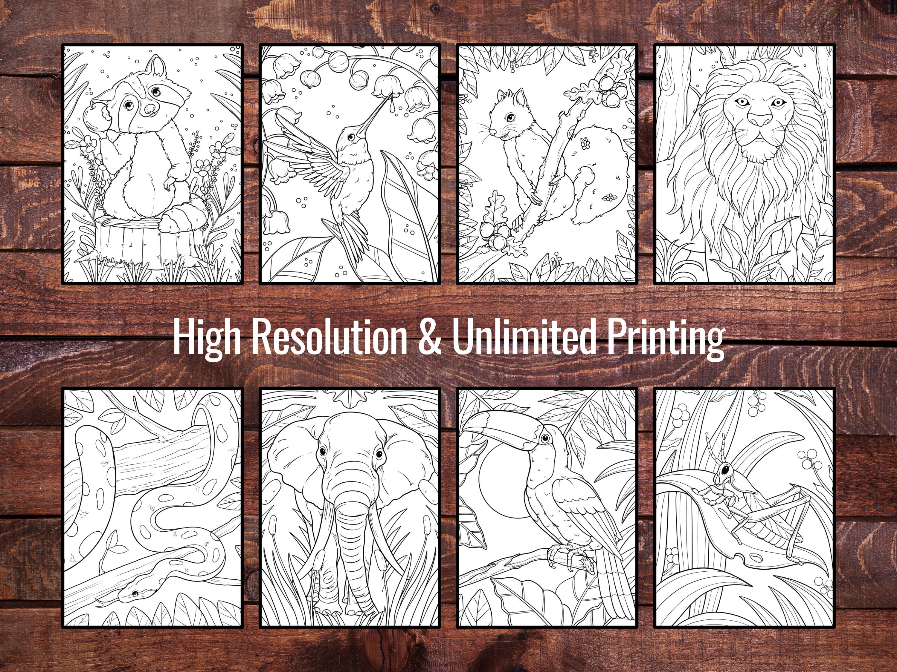 Wild Animals: Adult Coloring Book Nature Animals Coloring - Etsy