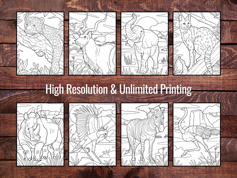 African Safari: Adult Coloring Book, Nature Adventure Animals Coloring ...