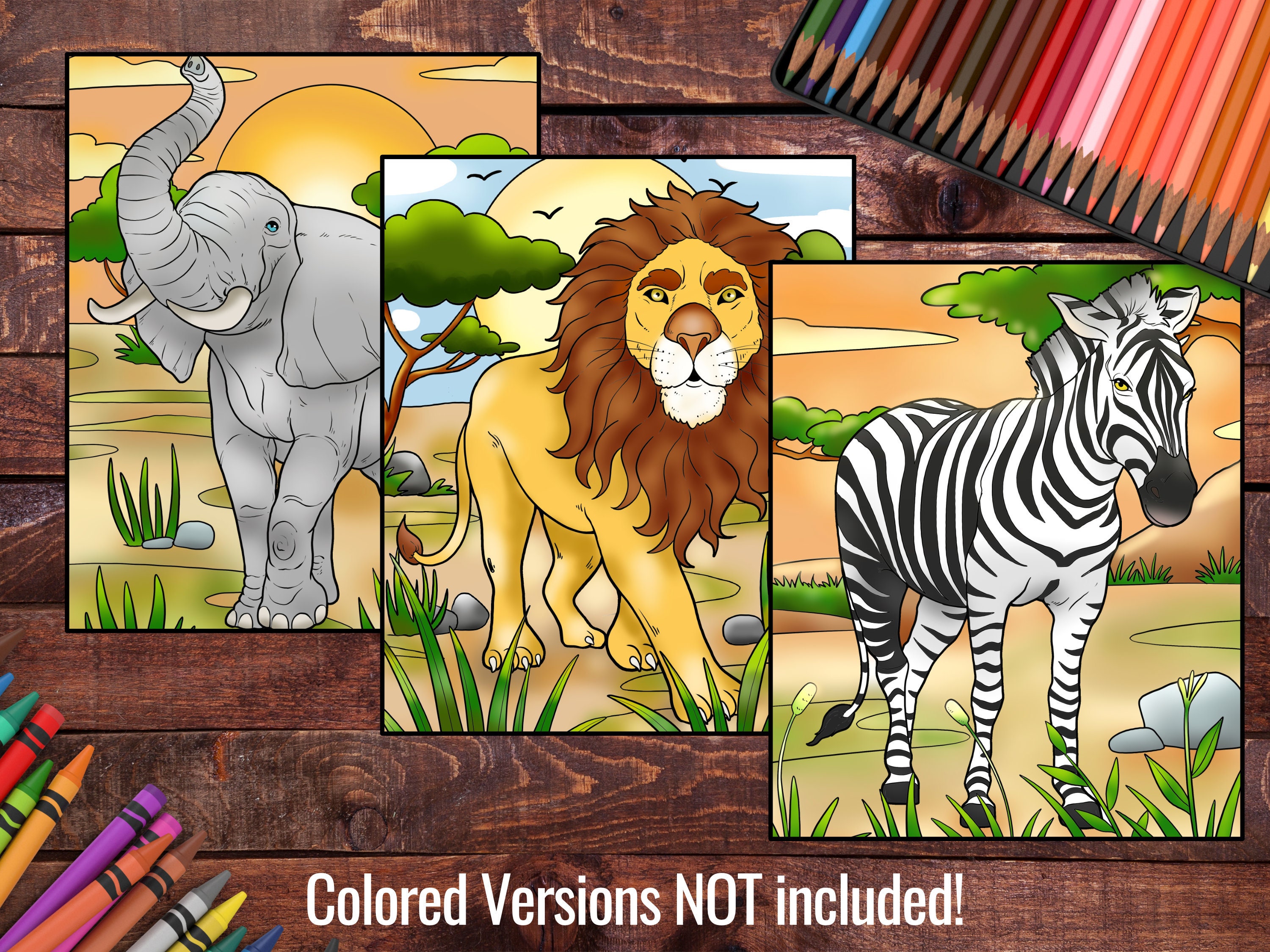 African Safari: Adult Coloring Book, Nature Adventure Animals Coloring ...