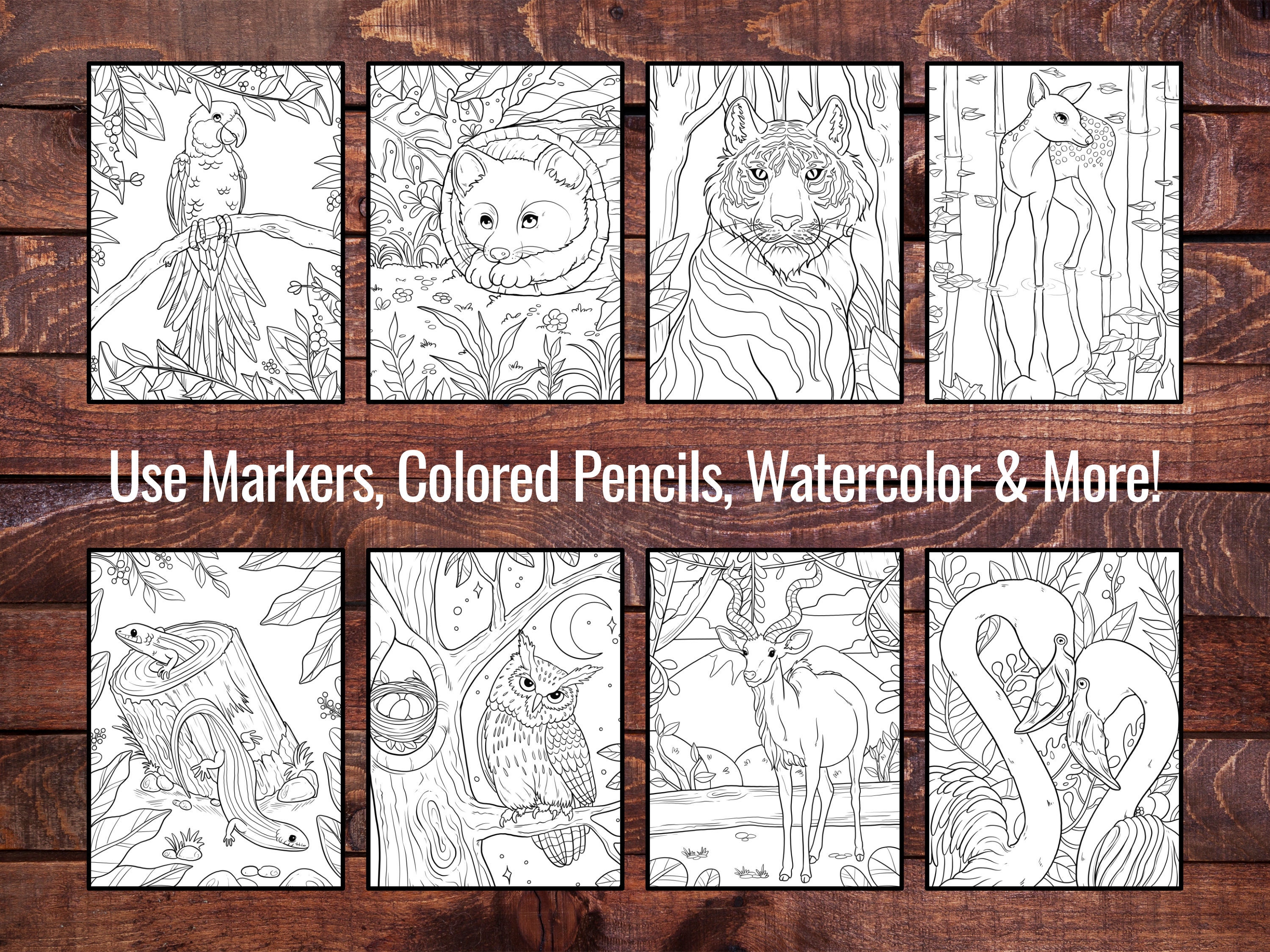 Wild Animals: Adult Coloring Book Nature Animals Coloring - Etsy