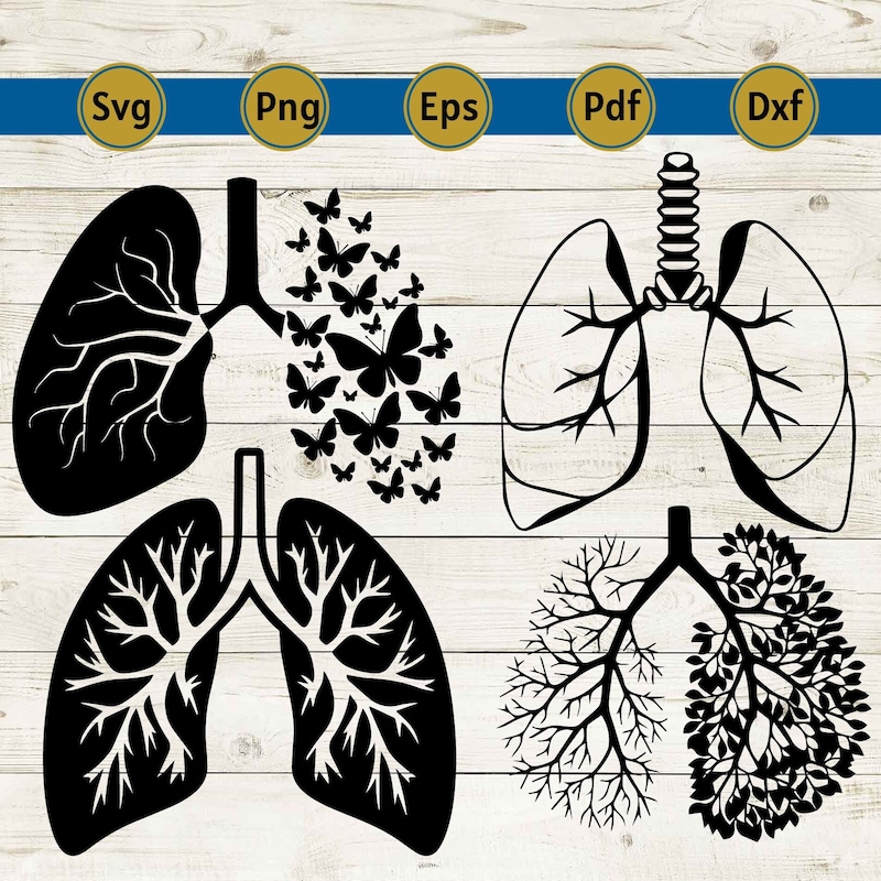 Lung Svg - Etsy
