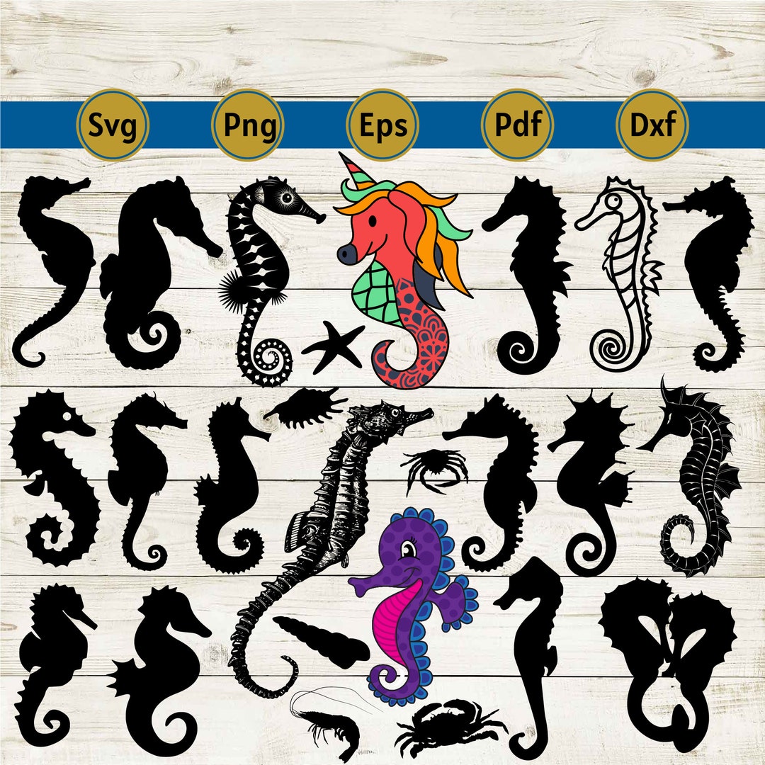 Seahorse Svg, Seahorse Png, Seahorse Silhouette, Beach Svg, Sea Life ...