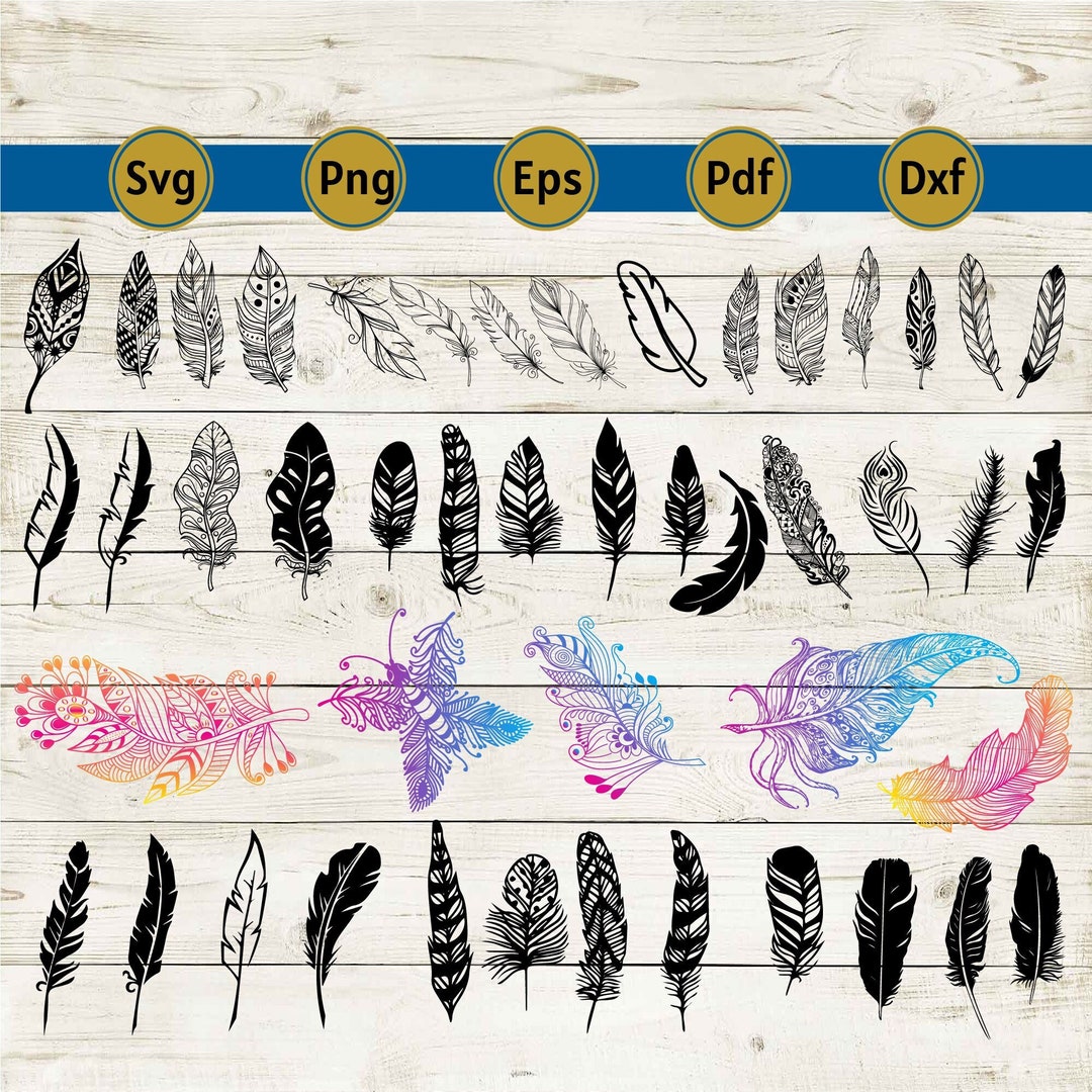 Feather Svg, Feather Png, Feather Clipart, Feather Cricut, Feather ...