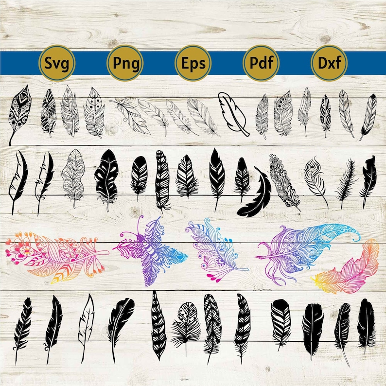 Feather Svg, Feather Png, Feather Clipart, Feather Cricut, Feather ...