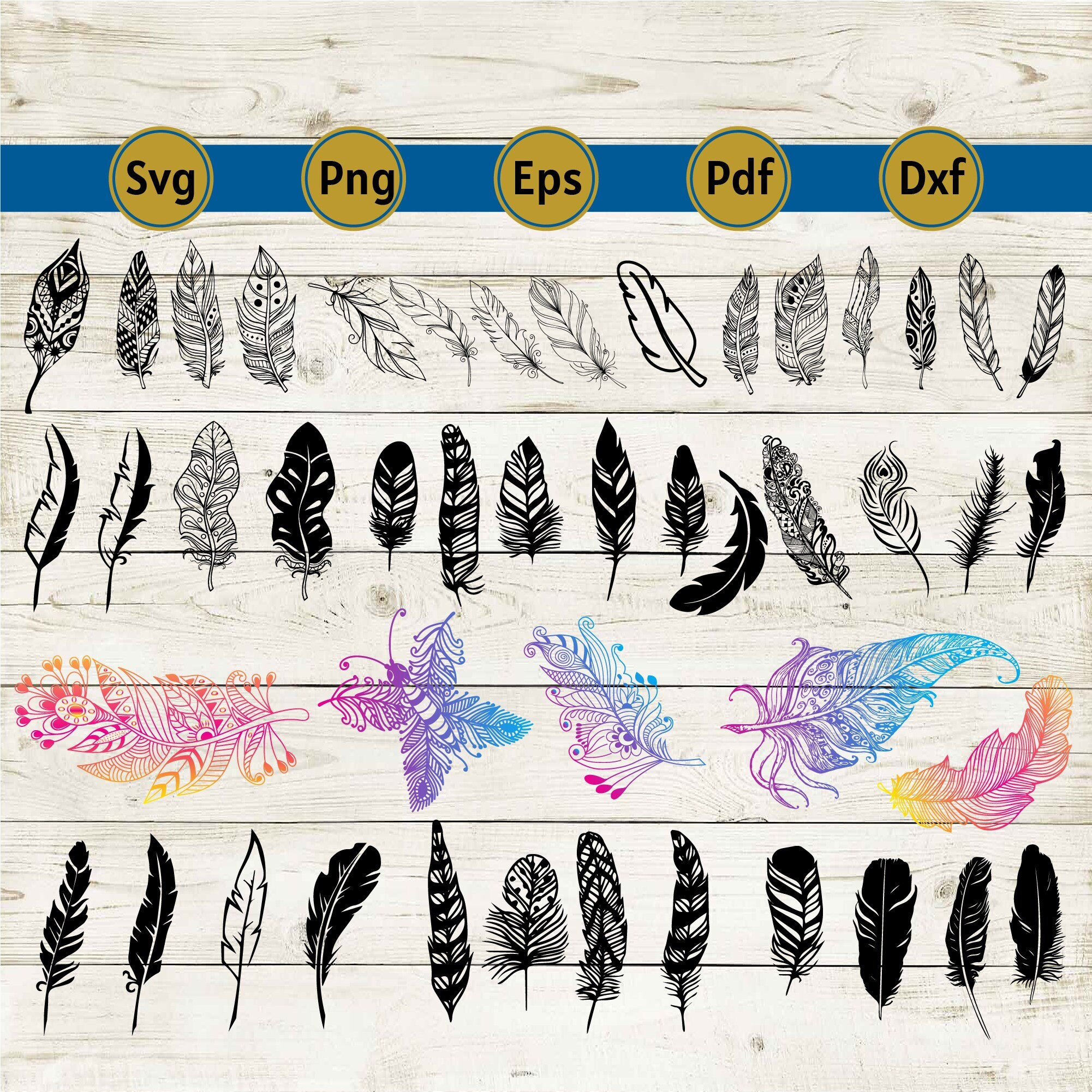 Feather Svg, Feather Png, Feather Clipart, Feather Cricut, Feather ...