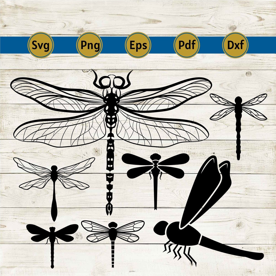 Dragonfly Svg, Dragonfly Png, Dragonflies Svg, Dragonfly Clipart ...