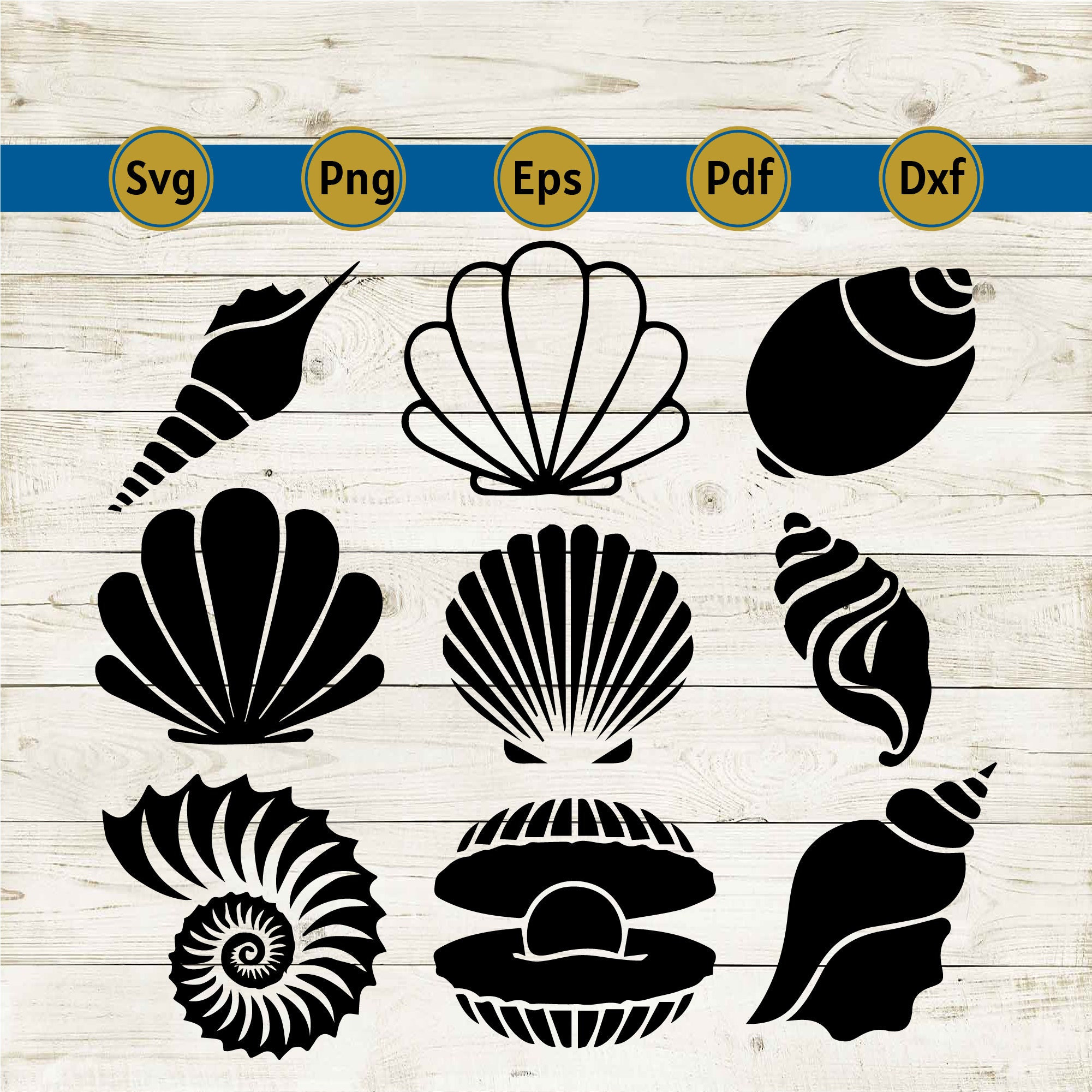 Seashell Svg, Shell Svg, Sea Life Svg, Under the Sea Svg, Seashell ...