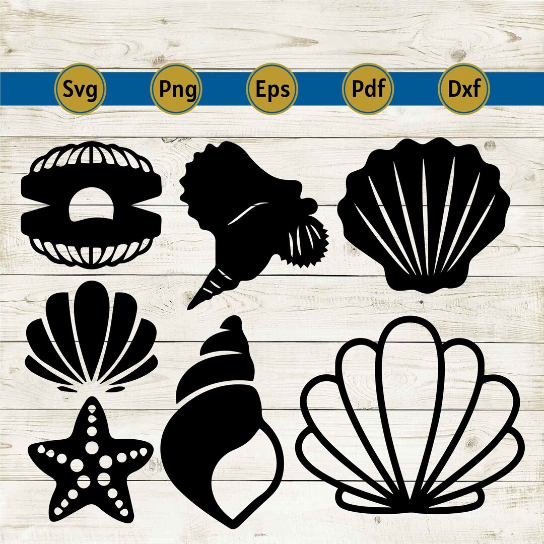 Seashell Svg, Seashell Png, Sea Shell Art Print, Shell Svg, Under the ...