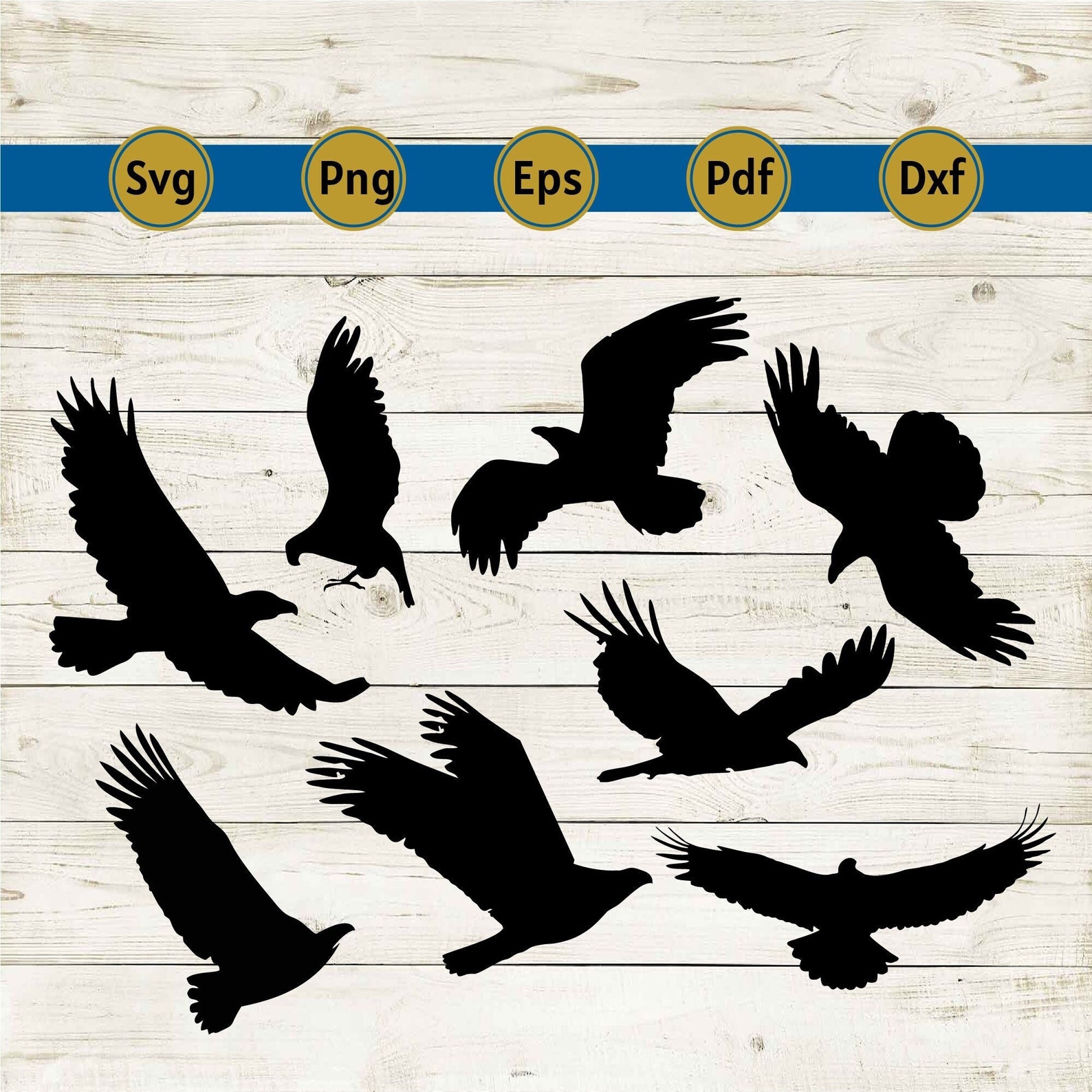 Hawk Svg, Hawk Silhouette, Hawk Cricut, Hawk Cut File, Hawk Decal ...