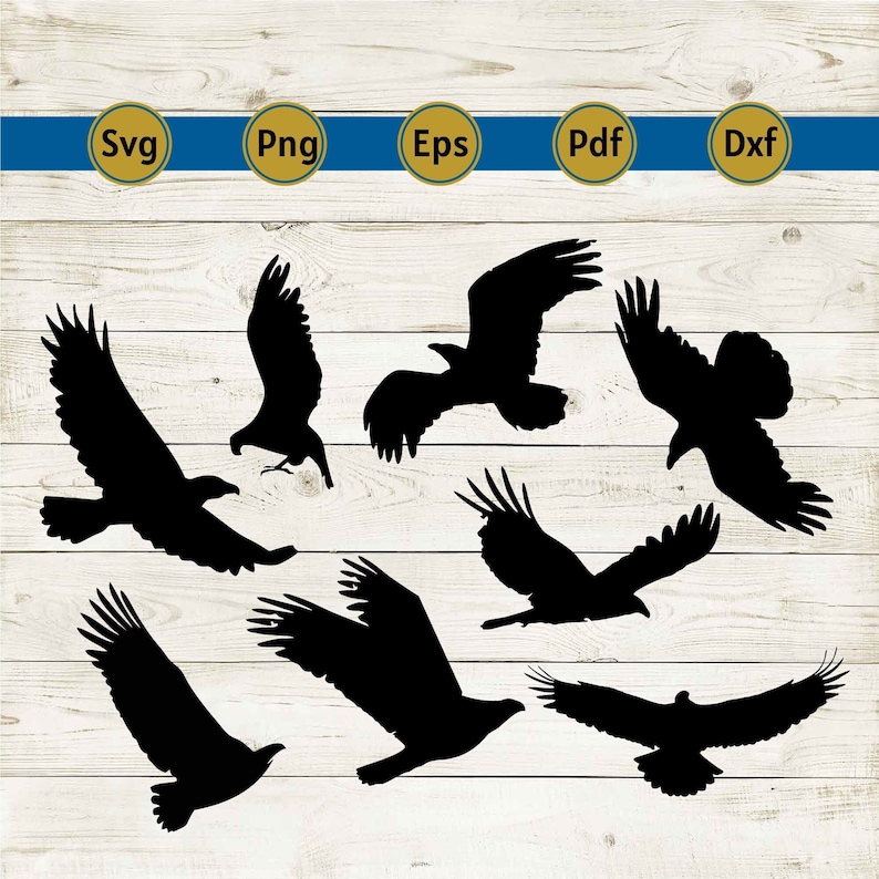 Hawk Svg, Hawk Silhouette, Hawk Cricut, Hawk Cut File, Hawk Decal ...