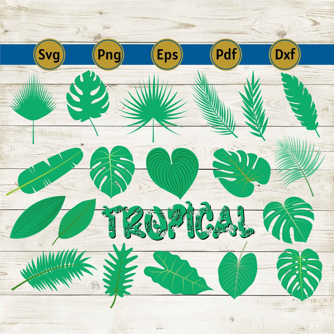 Tropical Leaves Svg, Tropical Leaf Svg, Monstera Leaf Svg, Monstera Svg ...