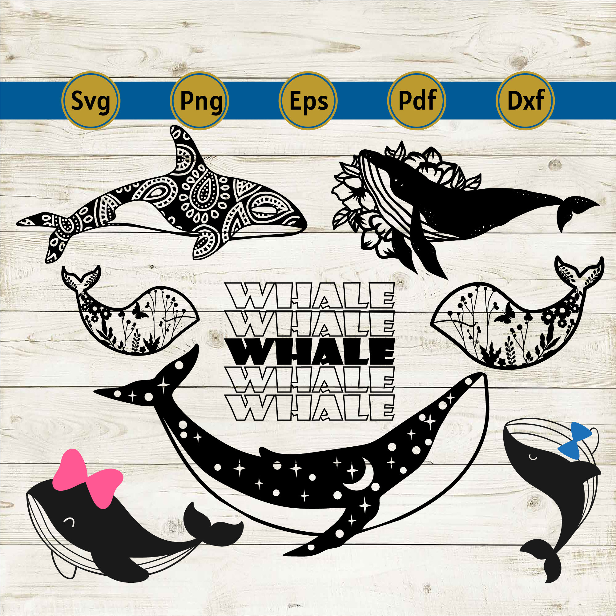 Whale Svg, Orca Svg, Whale, Fish Svg, Summer Svg, Ocean Svg, Humpback ...