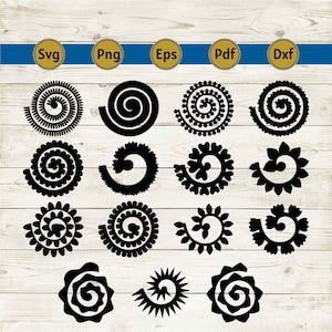 Rolled Flower Svg, Rolled Flower Template, Rolled Paper Flower Svg ...