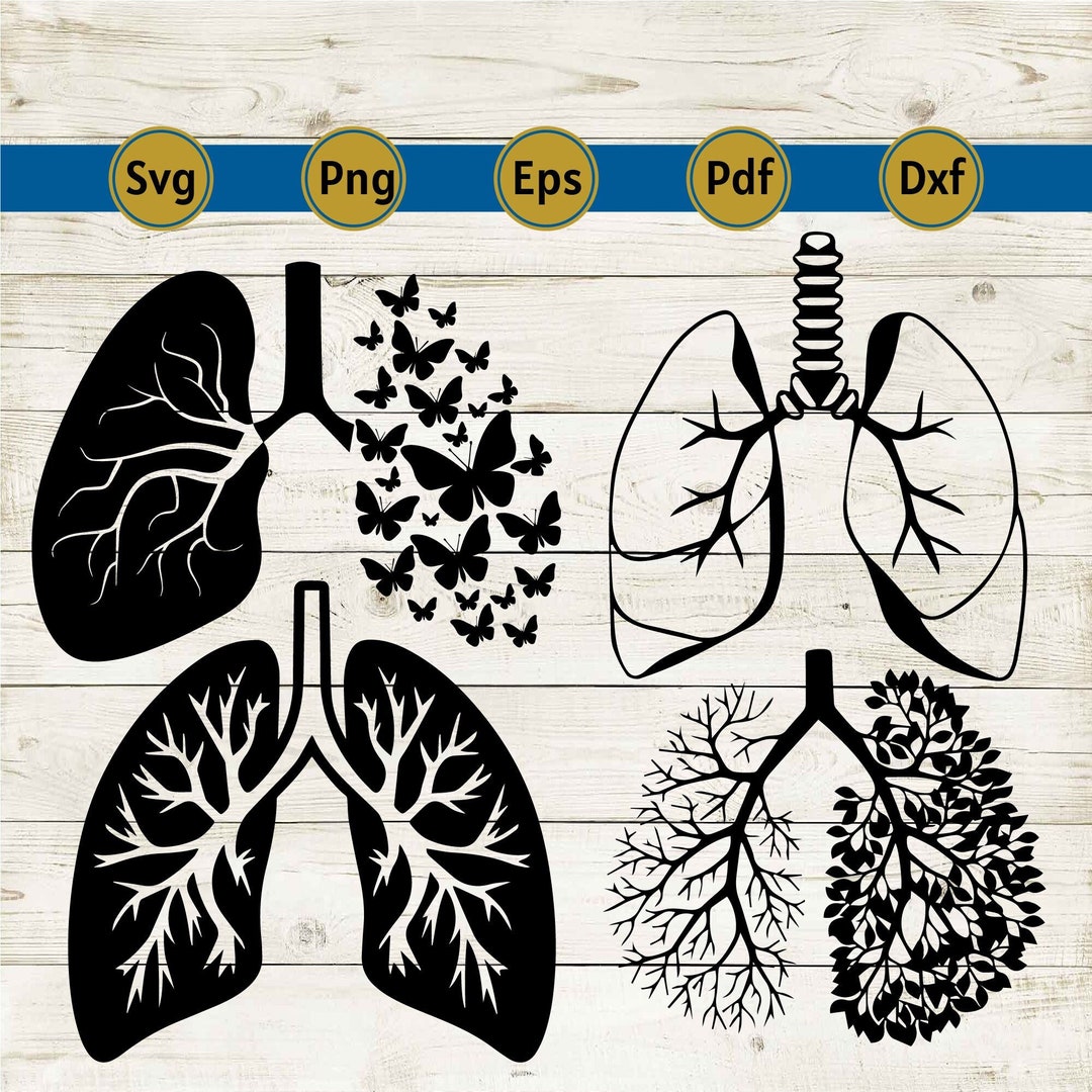 Lungs Svg, Lungs Png, Lung Disease Svg, Floral Lungs Svg, Respiratory ...