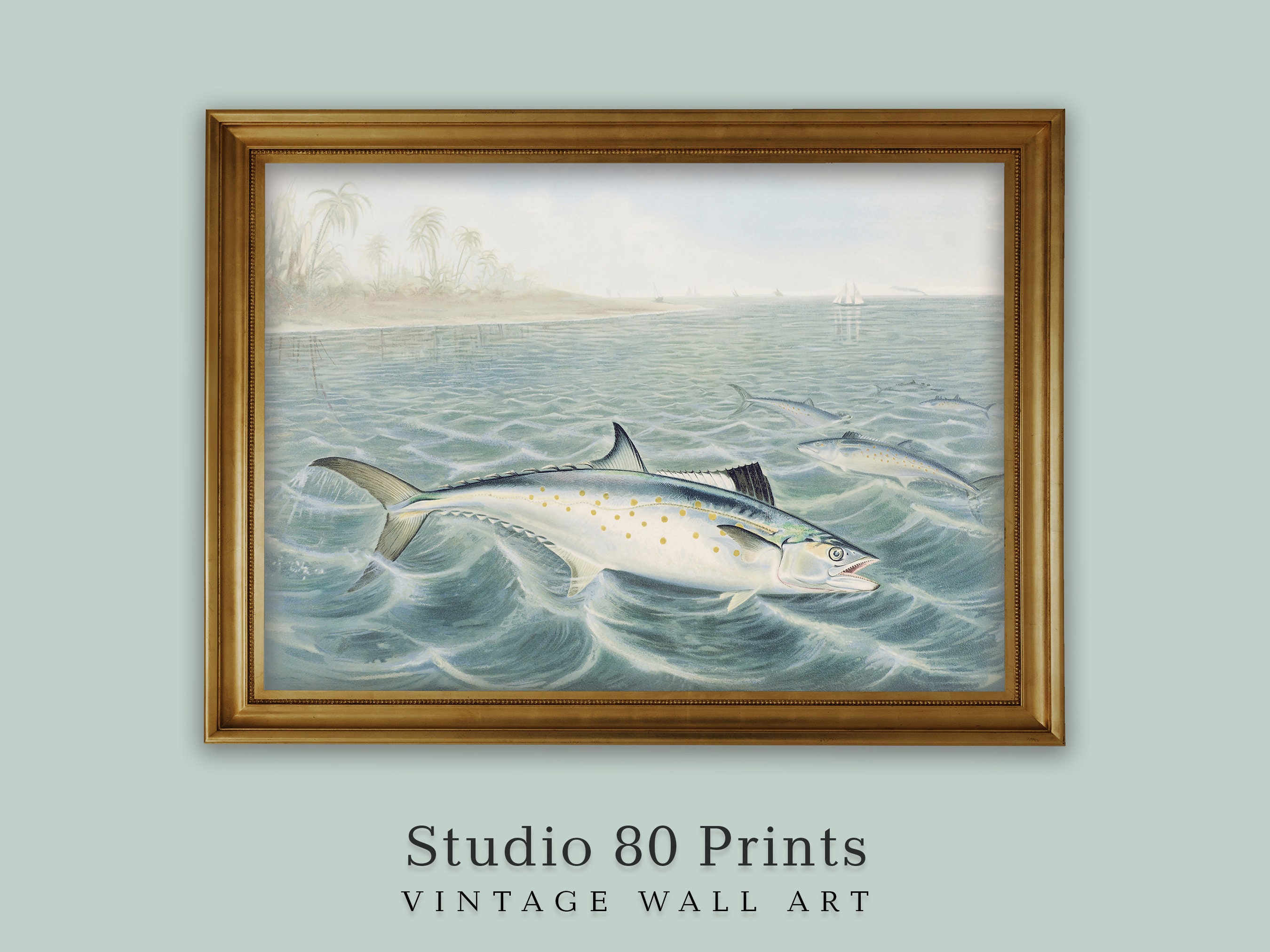 Red Drum | Vintage Fish Art Print | Printable Digital Download ...