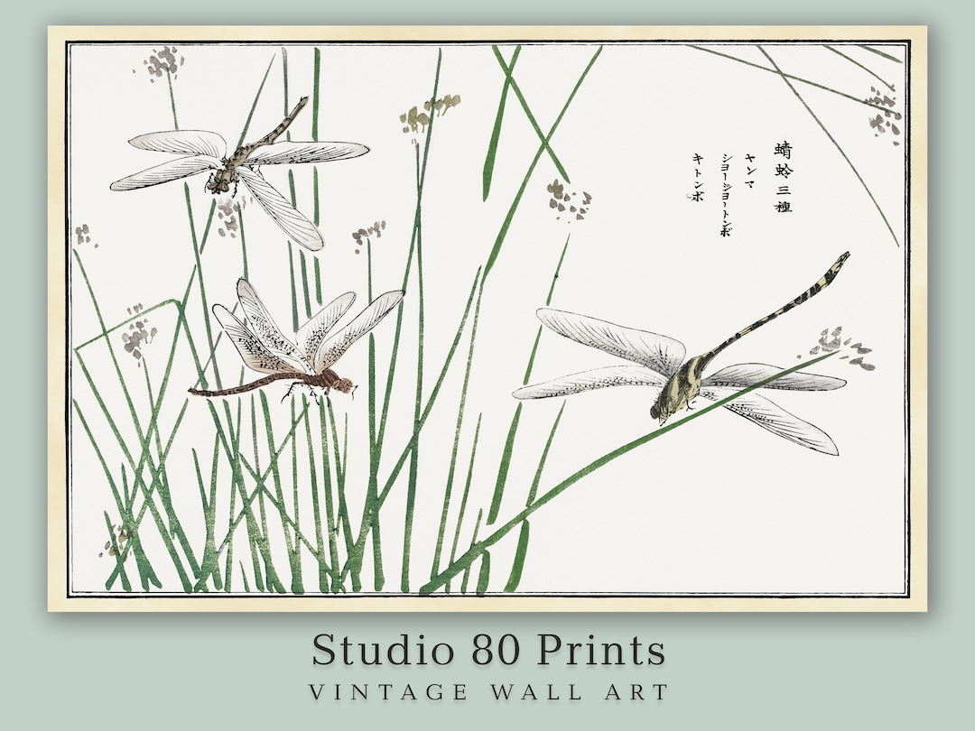 Instant Download Dragonflies Vintage Japanese Butterfly - Etsy