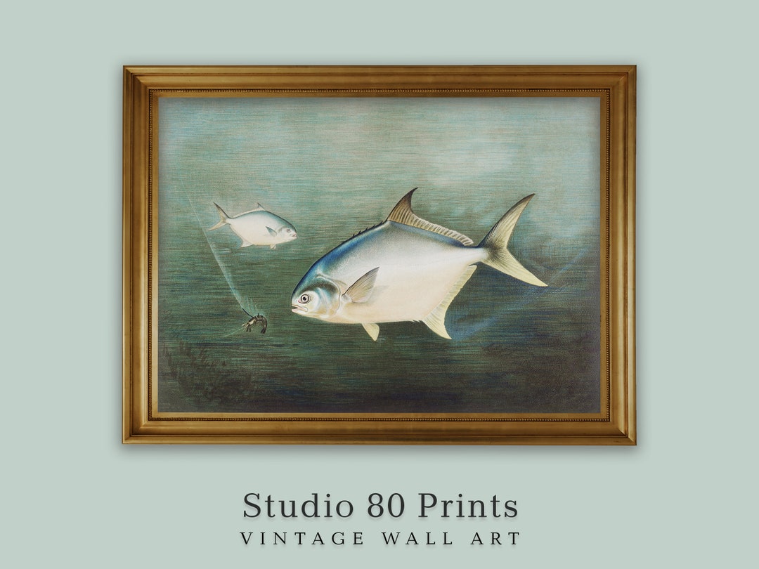 Pompano Vintage Fish Art Print Printable Digital Download ...