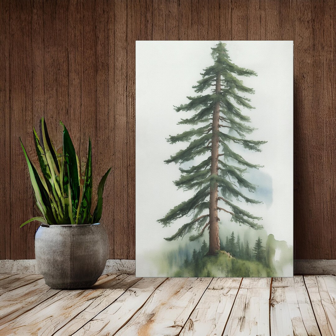 Douglas Fir Watercolor Painting Print on Wrap Canvas Fir Tree Wall Art ...