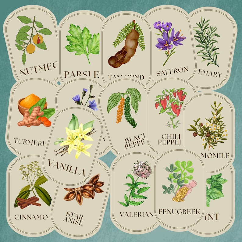 48 Herbal Apothecary Labels, Printable Spice Jar Labels, Vintage Tags ...