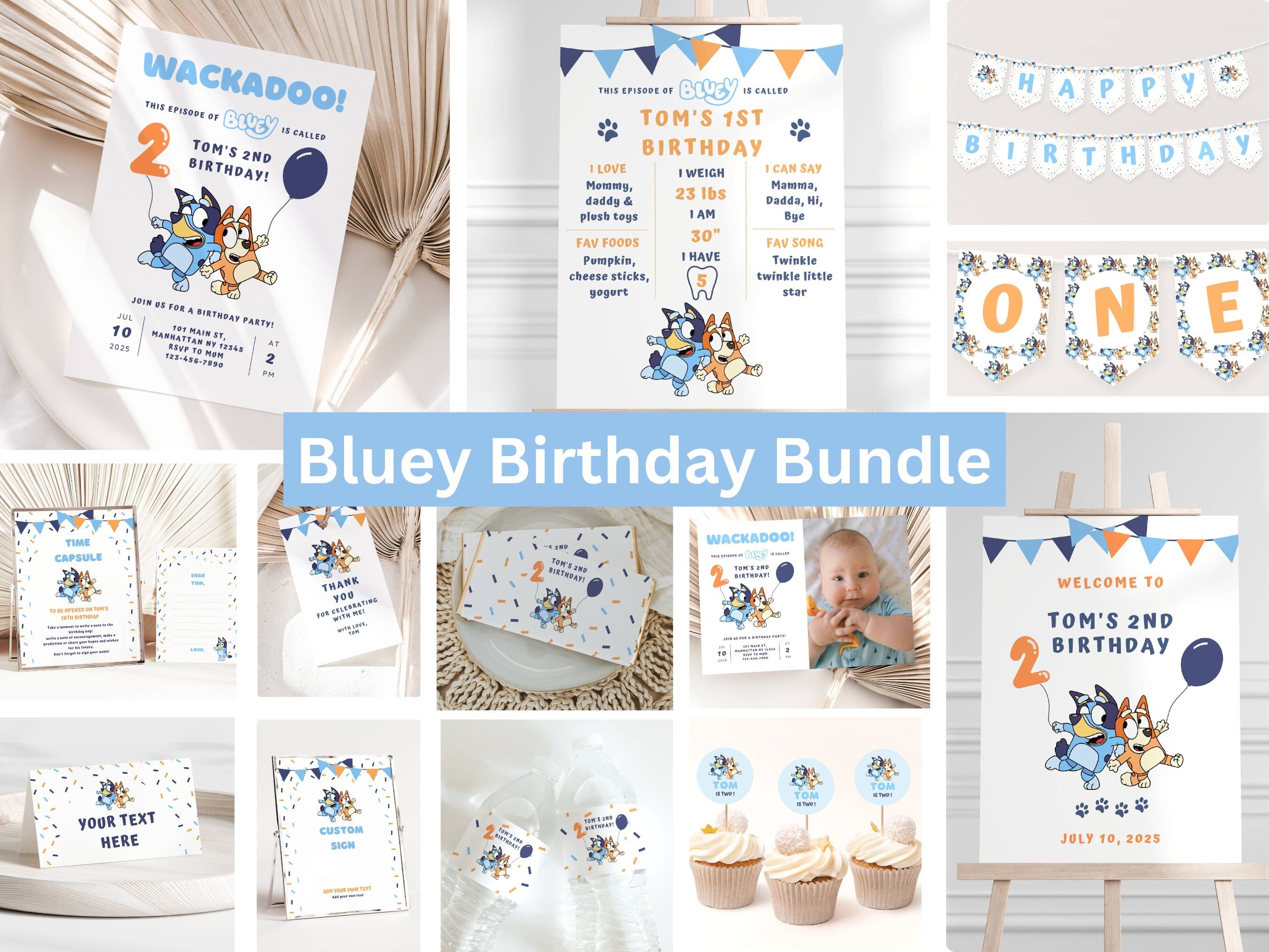 Bluey Birthday Invite Bluey Invitations Bluey Party Invite - Etsy