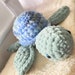 Sheldon the Turtle - Etsy