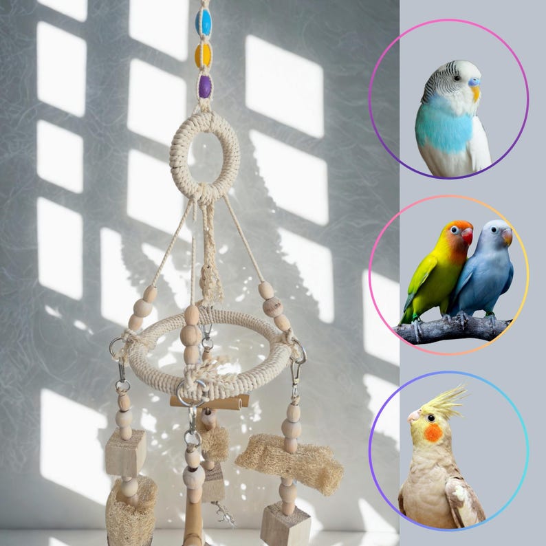 Natural Bird Swing With Handmade Cotton Rope Wood Beads Double Ring ...