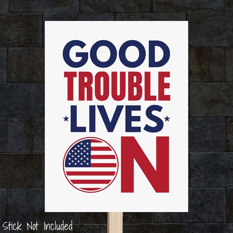 2025 Protest Signs - Etsy