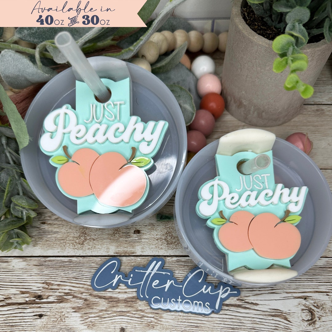 Just Peachy Stanley Tumbler Topper, Peach Stanley Name Plate, 40oz Name ...