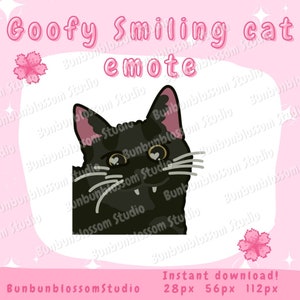 Kawaii Cute Twitch Discord Streamer Goofy Smiling Cat Emote - Etsy