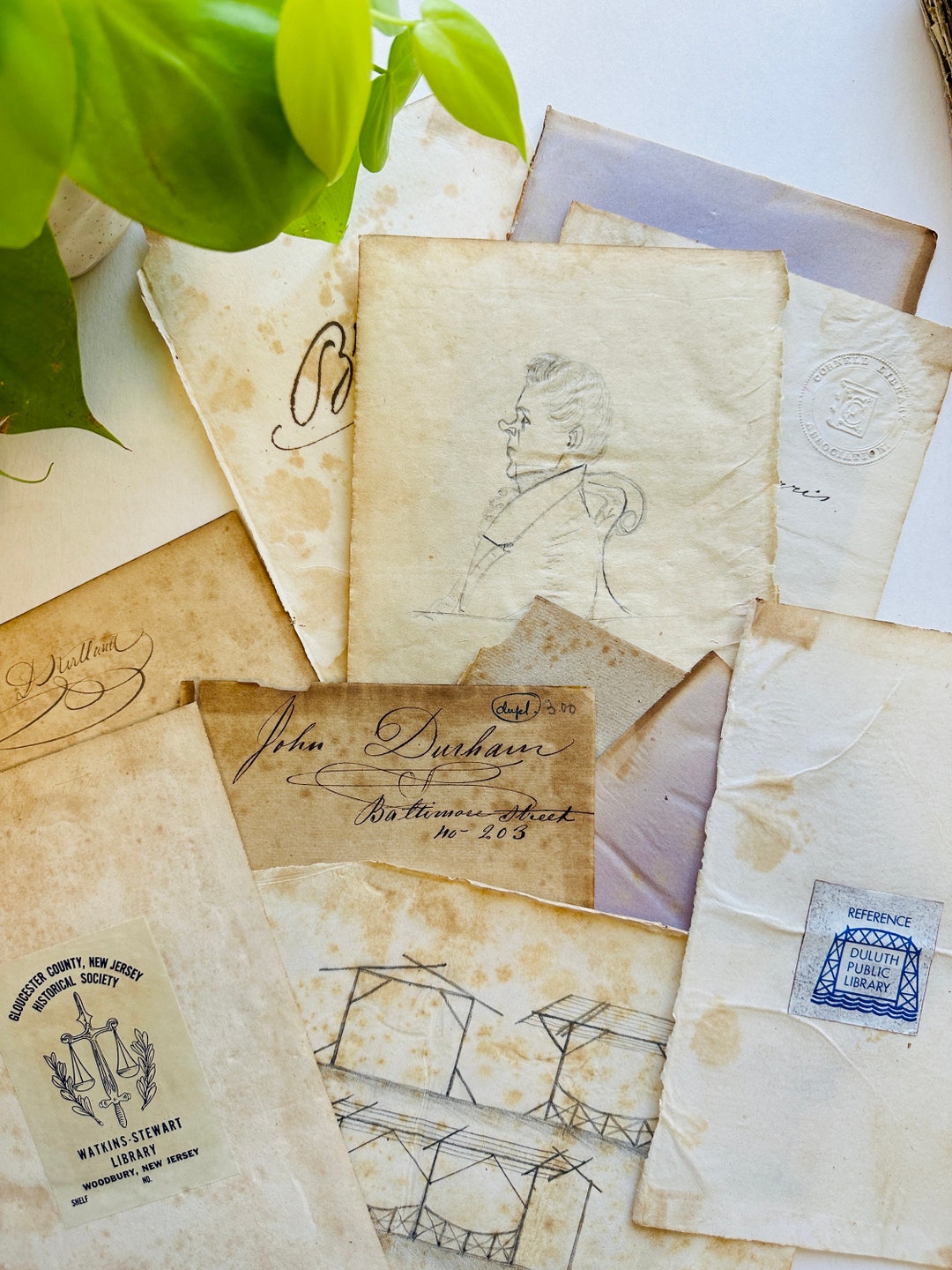 1800's Antique Drawing & Signature Sheets - Etsy