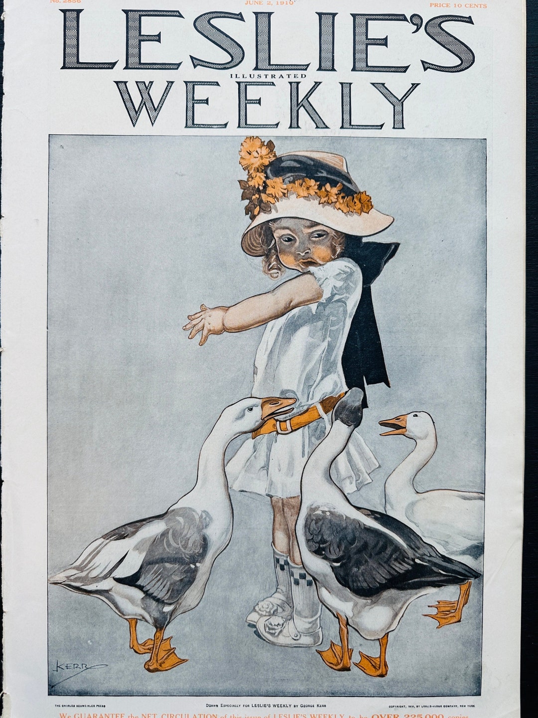 June Edition of Leslie’s Illustrated - Etsy