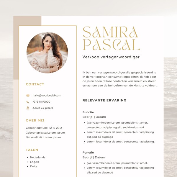 Resume Template Dutch - Etsy