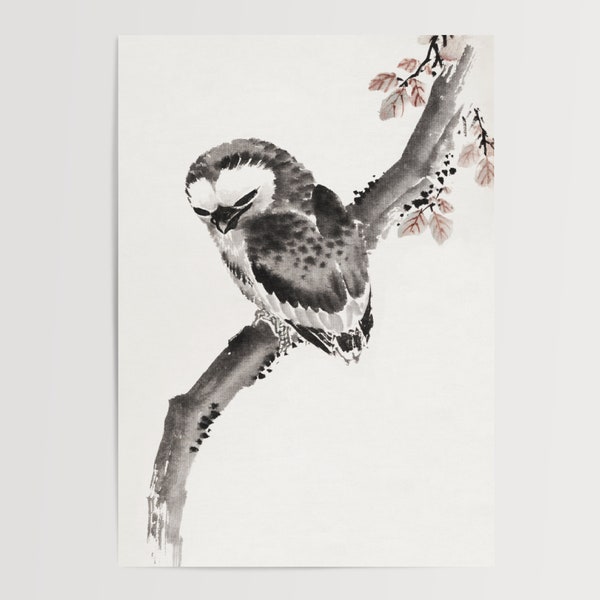 Cute Owl Print - Etsy