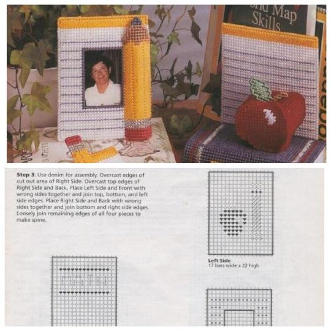 PDF Vintage Plastic Canvas Pattern - Apples for the Teachers - Etsy