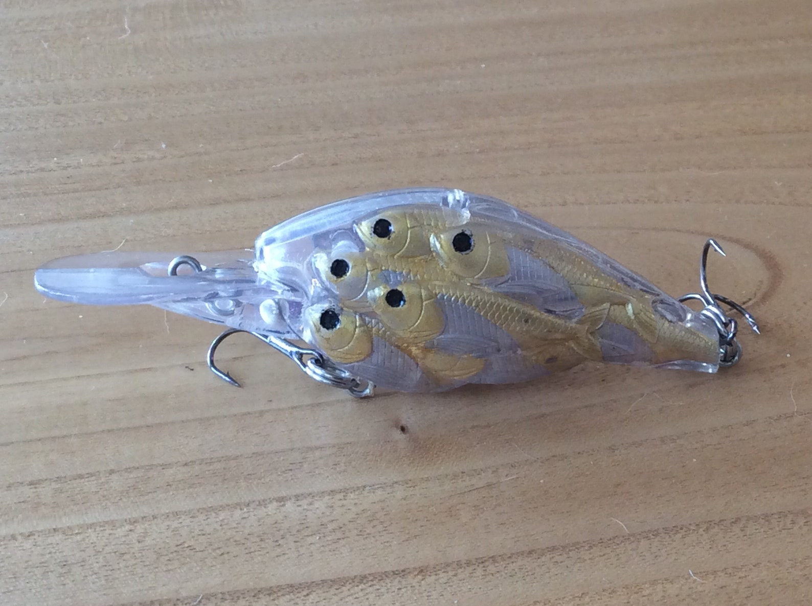 Golden Shiner Bait Ball - Etsy